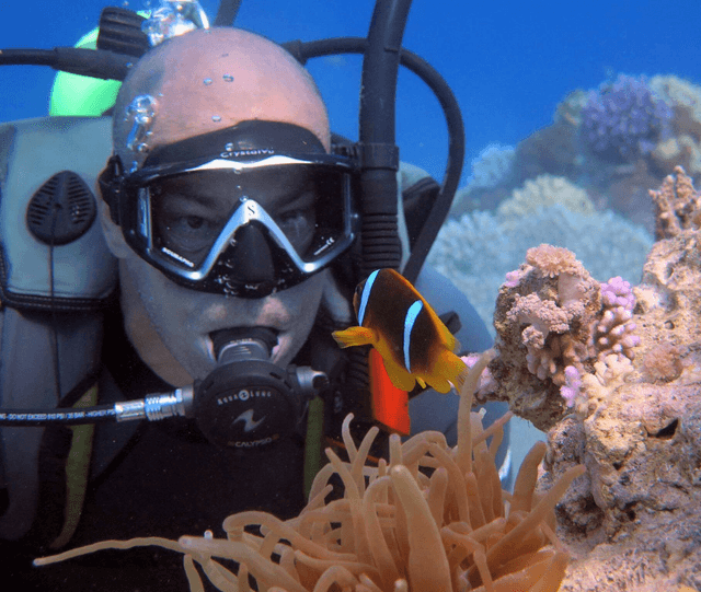 Mark Wallace - Vertical Raise